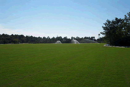 perdido bay soccer complex